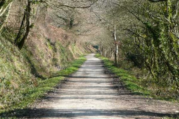 The 7 Best Things to do in Bodmin - Cornwalls Best